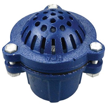 4" ECONOMY CAST IRON FOOT VALVE & STRAINER — Pneumatics-pro Inc.